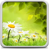 Meadow Live Wallpaper
